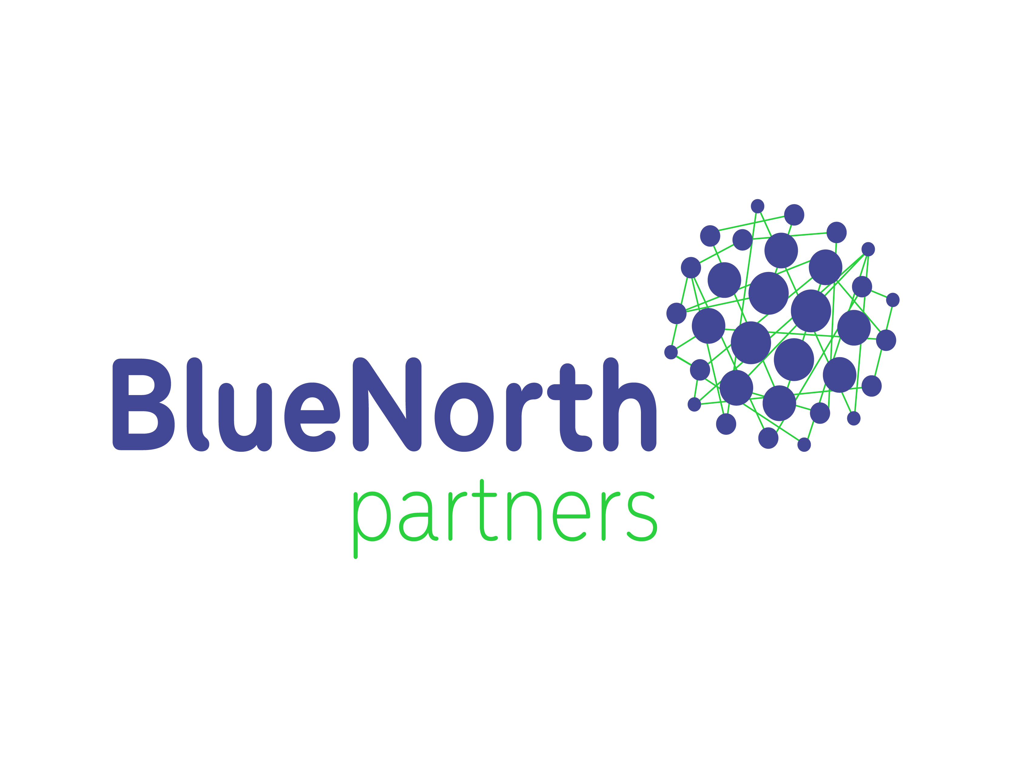 About - BlueNorth partners